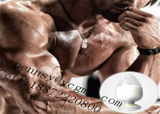 99% Purity Testosterone Undecanoate CAS 5949-44-0 Steroid, Injectable White Powder for Body Building