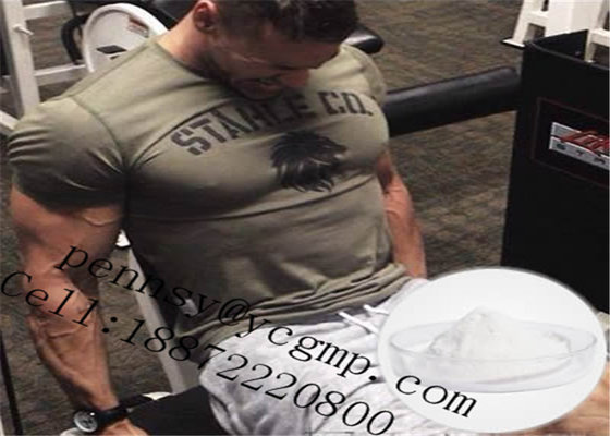 Factory Supply Muscle Building Test Deca Steroid Powder Testosterone Decanoate CAS 5721-91-5