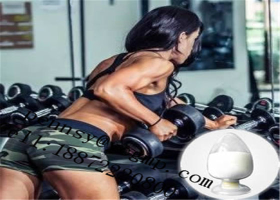 Factory Supply Muscle Building Test Deca Steroid Powder Testosterone Decanoate CAS 5721-91-5