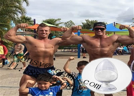 Factory Supply Muscle Building Test Deca Steroid Powder Testosterone Decanoate CAS 5721-91-5