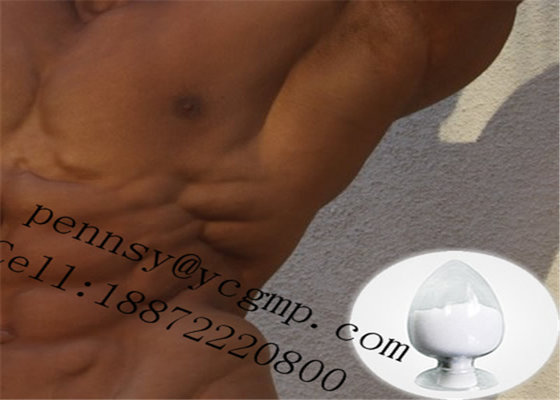 99% Oral Steroid Hormone Raw Powder Testosterone Isocaproate 15262-86-9 for Muscle Gain