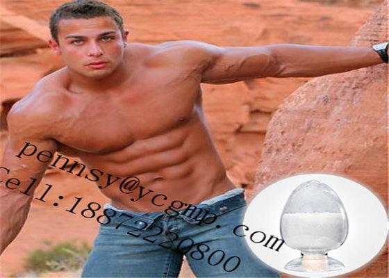99% Oral Steroid Hormone Raw Powder Testosterone Isocaproate 15262-86-9 for Muscle Gain