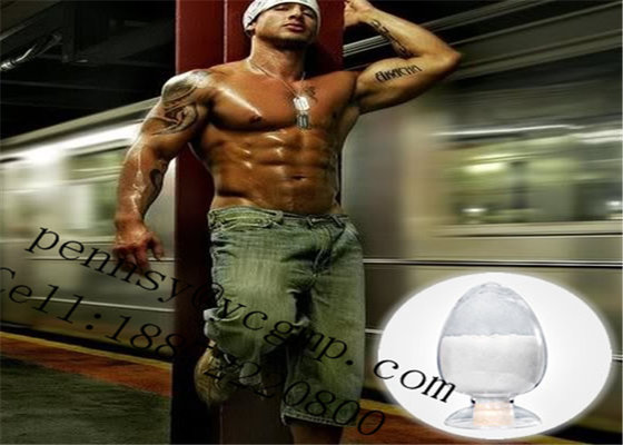 99% Oral Steroid Hormone Raw Powder Testosterone Isocaproate 15262-86-9 for Muscle Gain