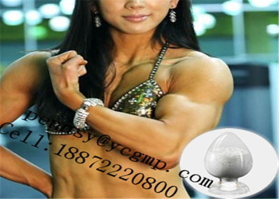 99% Purity Steroids Testosterone Phenylpropionate for Muscle Growth 1255-49-8