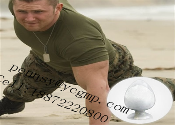 Factory Direct Supply  Muscle Gain Steroids 58-20-8 Testosterone Cypionate/Test Cyp