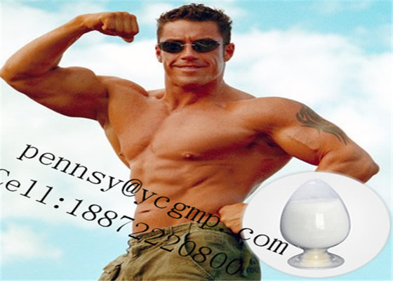 Factory Direct Supply  Muscle Gain Steroids 58-20-8 Testosterone Cypionate/Test Cyp