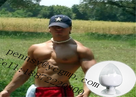 Test p 57-85-2 Legal Muscle Building Steroids For Men Testosterone Propionate