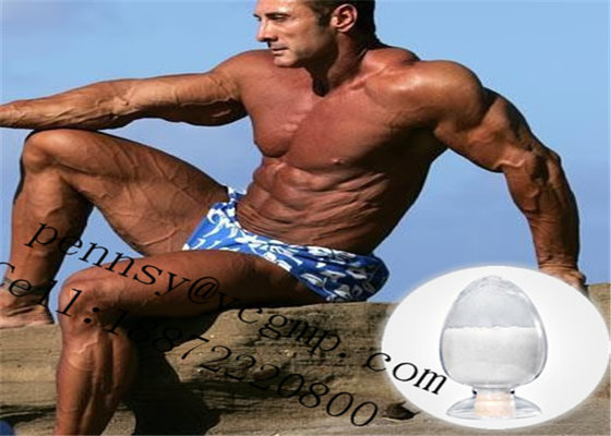 Test p 57-85-2 Legal Muscle Building Steroids For Men Testosterone Propionate