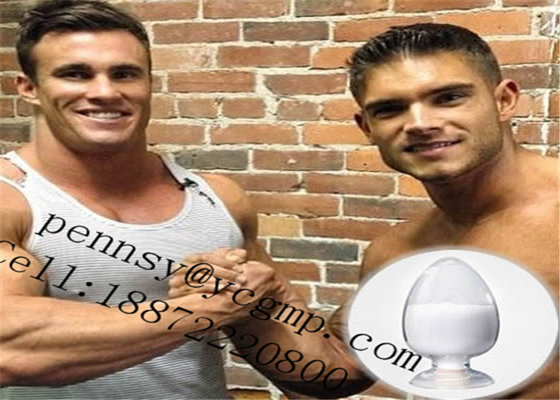 99% Purity Steroid 1-Testos-Terone CAS: 65-06-5 for Muscle Gain