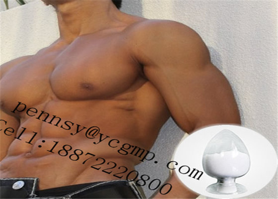 Injectable Steroids Testosterone Base White Powder For Muscle Gaining CAS 58-22-0