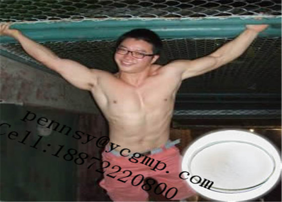 Body Builder 17-Methyltestosteron, Methyltestosteron  CAS: 58-18-4
