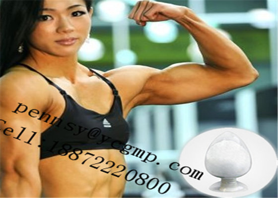 Raw Steroid CAS 2446-23-3 4-Chlorodehydromethyltestosterone Oral Turinabol for Muscle Building