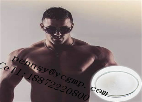 99% Purity Testosterone Undecanoate CAS 5949-44-0 Steroid, Injectable White Powder for Body Building