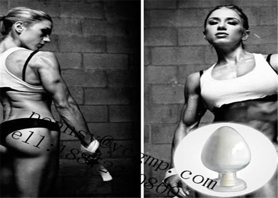 99% Purity Testosterone Undecanoate CAS 5949-44-0 Steroid, Injectable White Powder for Body Building