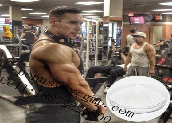 99% Purity Testosterone Undecanoate CAS 5949-44-0 Steroid, Injectable White Powder for Body Building