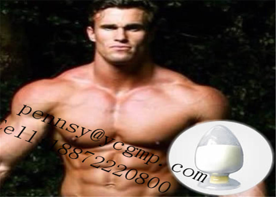 Raw Powders Testosterone Sustanon250 with High Purity&Safe Packing