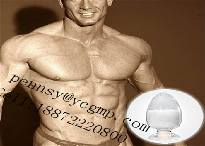 No Side Effect Bodybuilding Supplements Nandrolone Base White Fine Powder  434-22-0