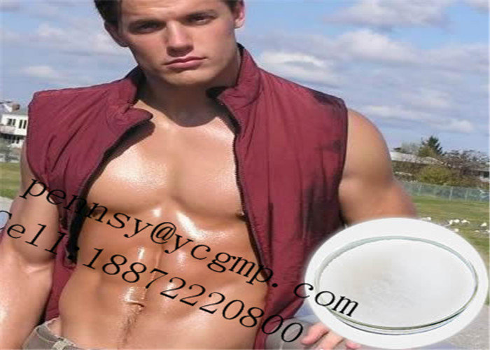 99% Anabolic Sterods Test A Testosterone Acetate for Muscle Growth 1045-69-8