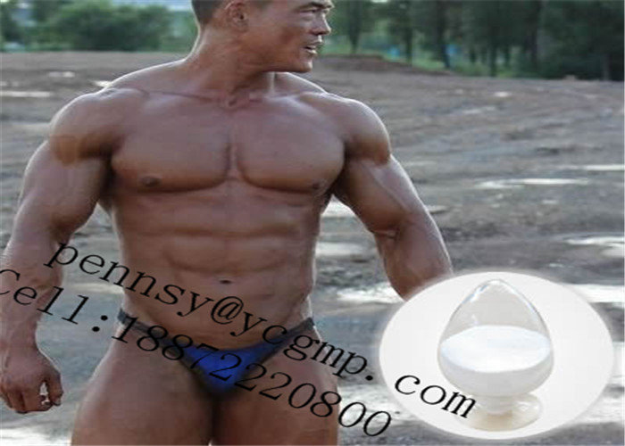Factory Supply 99% Steroid Hormone Testosterone Cypionate 58-20-8 for Muscle building