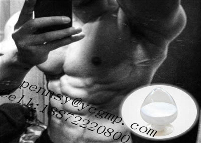 99% Purity Steroid 1-Testos-Terone CAS: 65-06-5 for Muscle Gain