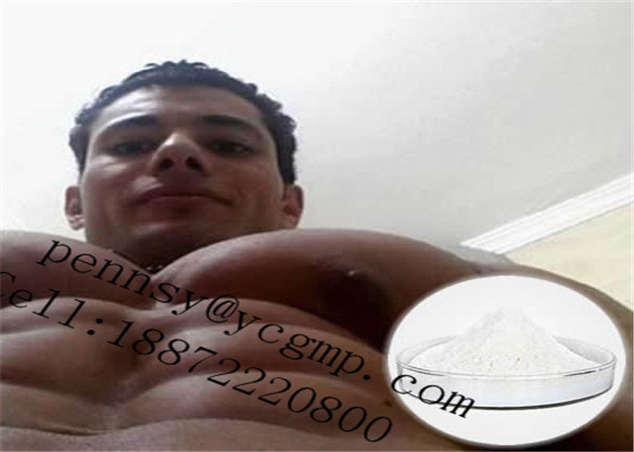 99% Purity Steroid 1-Testos-Terone CAS: 65-06-5 for Muscle Gain