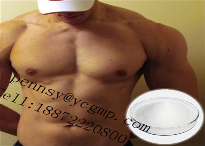 Factory Direct Supply  Muscle Gain Steroids 58-20-8 Testosterone Cypionate/Test Cyp