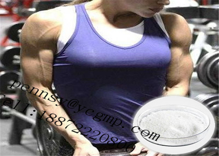 Injectable Steroids Testosterone Base White Powder For Muscle Gaining CAS 58-22-0
