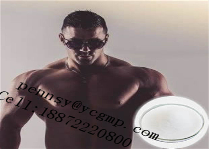 99% Purity Testosterone Undecanoate CAS 5949-44-0 Steroid, Injectable White Powder for Body Building