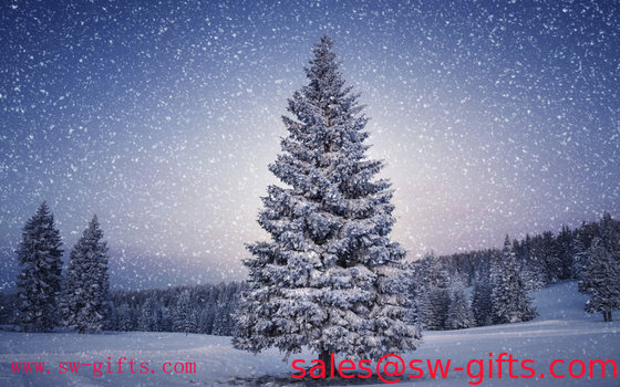 Christmas Tree Mini Christmas Decorations A Small Pine Tree decoracion navidad Tree supplier