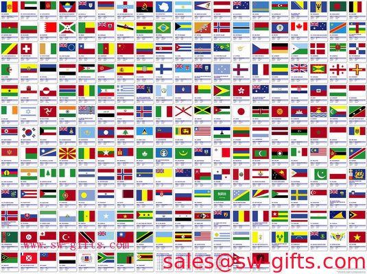 Polyester Flag Gay Pride Peace Flags Banner Flag National Flag Handing Flag Body Flag supplier
