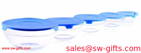 5Pcs Heat Resistant Preservation Glass Bowls Nested Dipping or Storage Bowls with Lids supplier