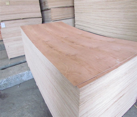 PACKING PLYWOOD & Commercial Plywood Lowest Price to Singapore