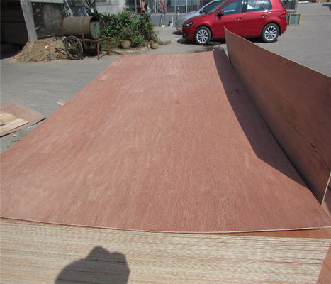 PACKING PLYWOOD & Commercial Plywood Lowest Price to Singapore