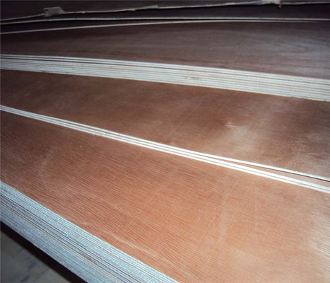 1220x2440 Bintangor Plywood Poplar Core for Packing