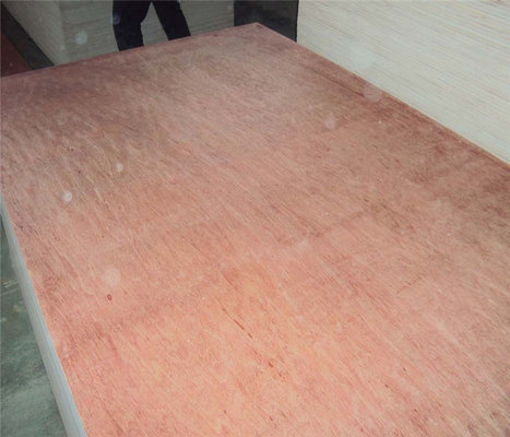 1220x2440 Bintangor Plywood Poplar Core for Packing