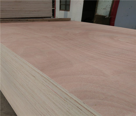 High Quality Okoume/ Bingtago/Poplar/Birch Commercial Plywood