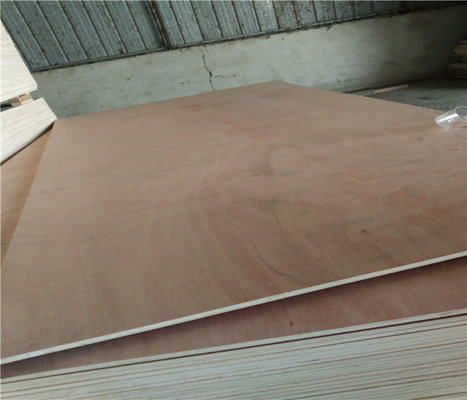 High Quality Okoume/ Bingtago/Poplar/Birch Commercial Plywood