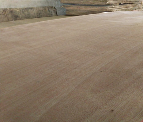 High Quality Okoume/ Bingtago/Poplar/Birch Commercial Plywood