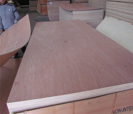 1220x2440x18mm Bintangor Plywood with Poplar Core E1 Glue