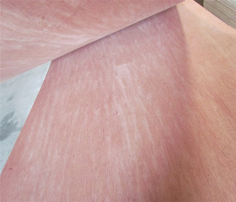 1220x2440x18mm Bintangor Plywood with Poplar Core E1 Glue