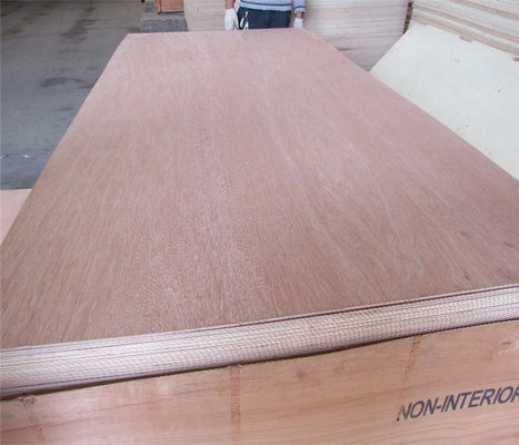 1220x2440x18mm Bintangor Plywood with Poplar Core E1 Glue