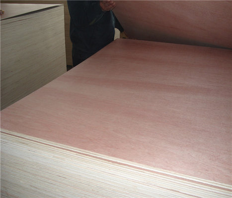 1220x2440x18mm Bintangor Plywood with Poplar Core E1 Glue