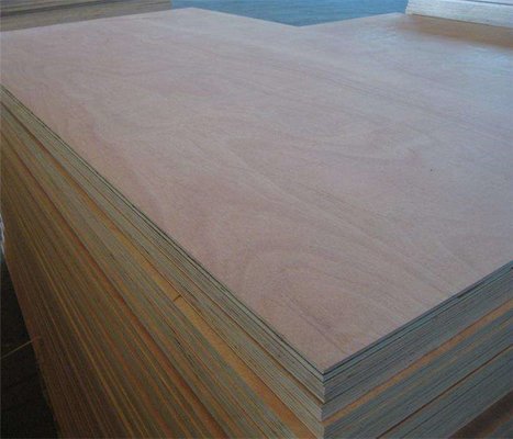 wholesale Okoume/Bintangor/Poplar/Birch Commercial Plywood