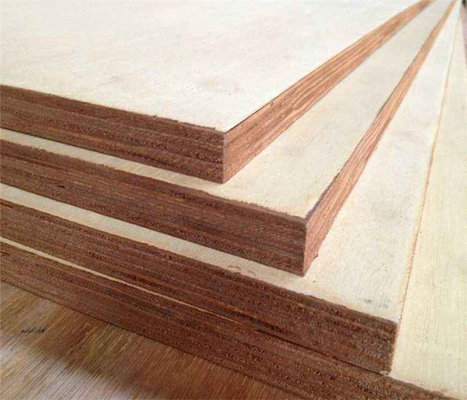 wholesale Okoume/Bintangor/Poplar/Birch Commercial Plywood