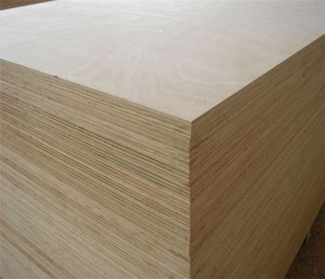 2018 Hot sell low price pine Plywood factory direct prices
