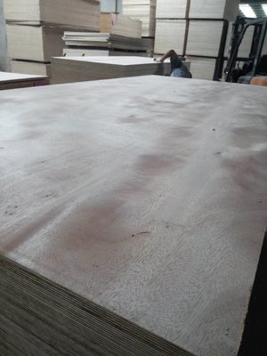 15mm okoume plywood high quality with good price