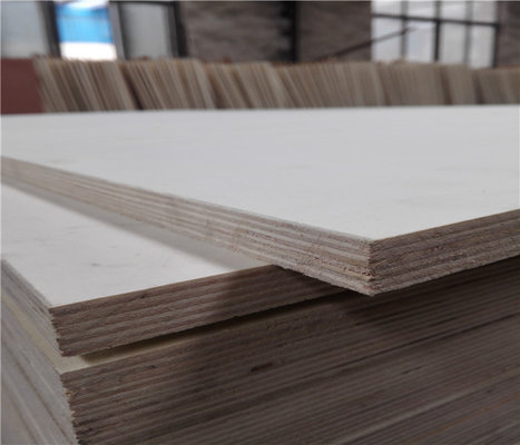 Wholesale products poplar core pine Plywood from china