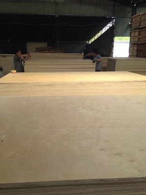 Wholesale products poplar core pine Plywood from china