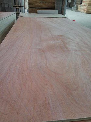 1250mmx2500mmm or 1220mmx2440mm high quality with good price bintangor Plywood