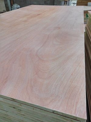 1220x2440x18mm Okoume Plywood Poplar Core for Construction to Middle Est Countries